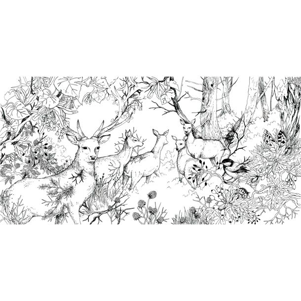 Carnet de coloriage animaux des bois | Nature & Découvertes