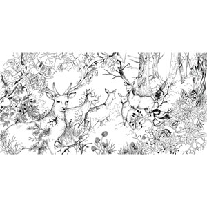 Carnet de coloriage animaux des bois | Nature & Découvertes