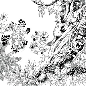 Carnet de coloriage animaux des bois | Nature & Découvertes