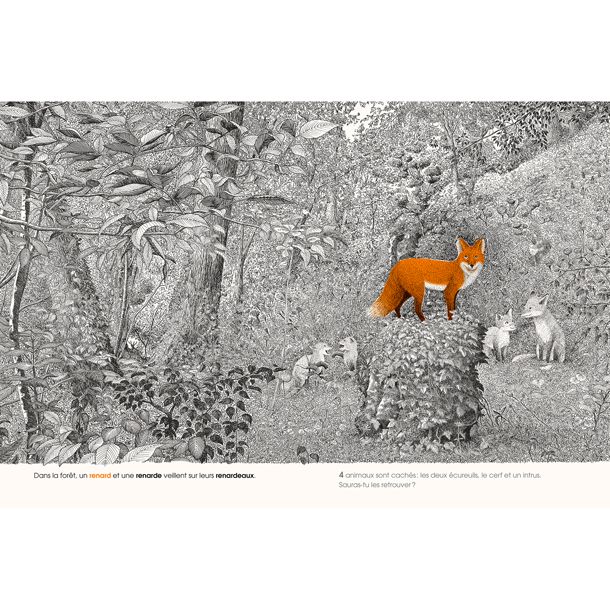 Cherche et trouve dans la forêt | Nature & Découvertes