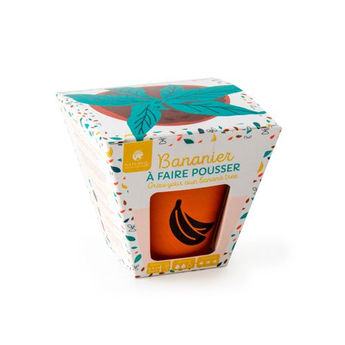 Pot de bananes à faire pousser | Nature & Découvertes