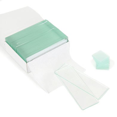 Kit lames et lamelles microscope