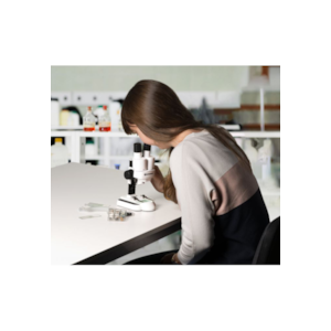 Microscope incident et transmis 50x