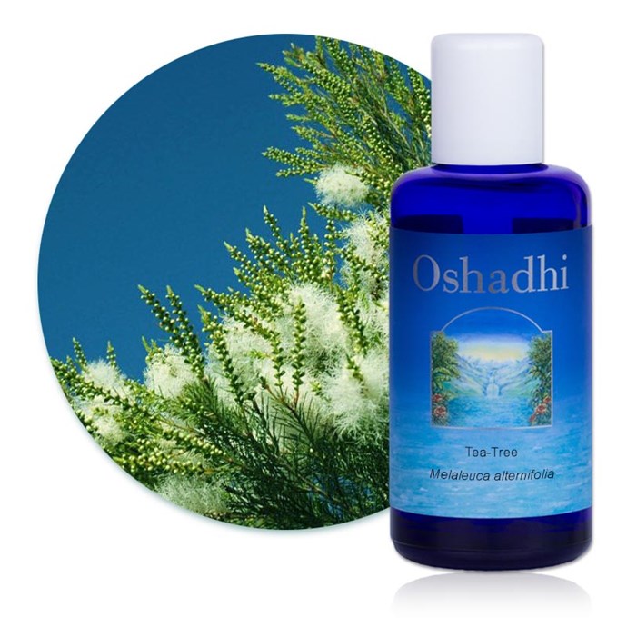 Hydrolat tea-tree bio