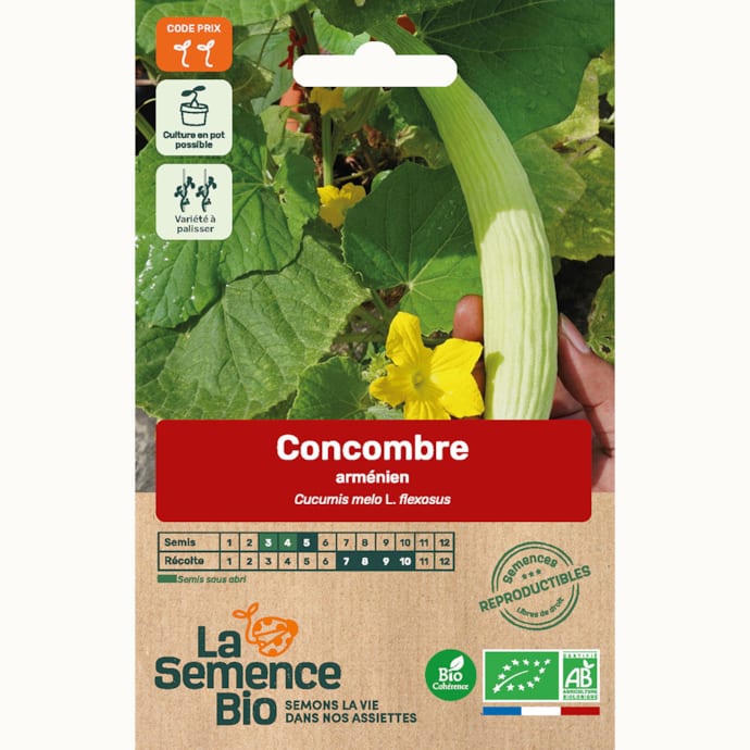 Concombre arménien bio