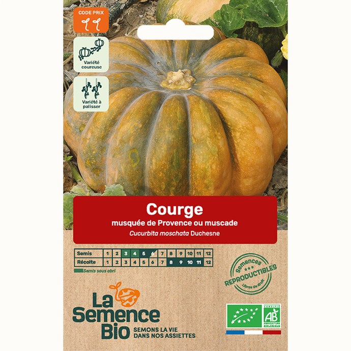 Courge musquée de provence ou muscade | Nature & Découvertes
