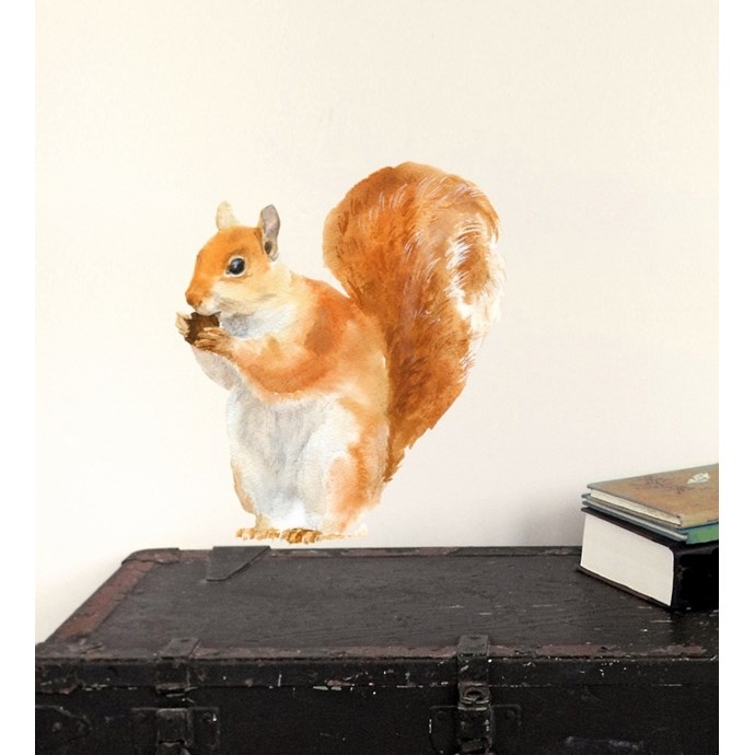 Sticker ecureuil roux | Nature & Découvertes