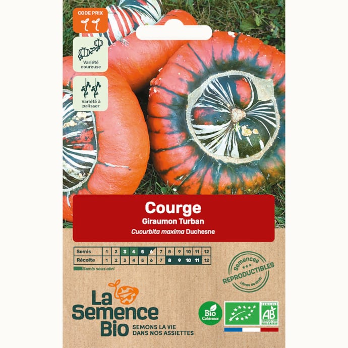 Courge giraumon turban bio