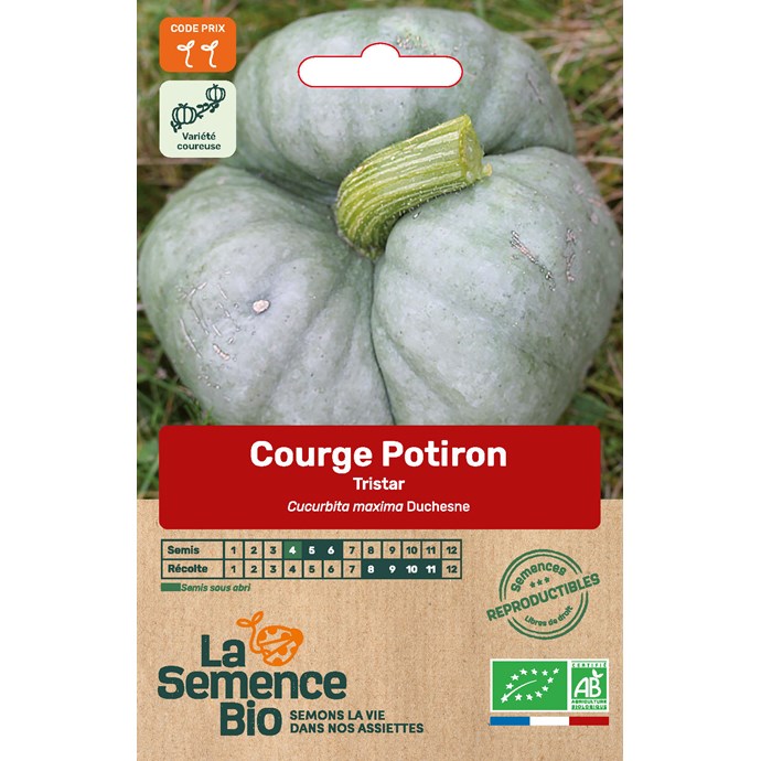 Courge potiron tristar bio