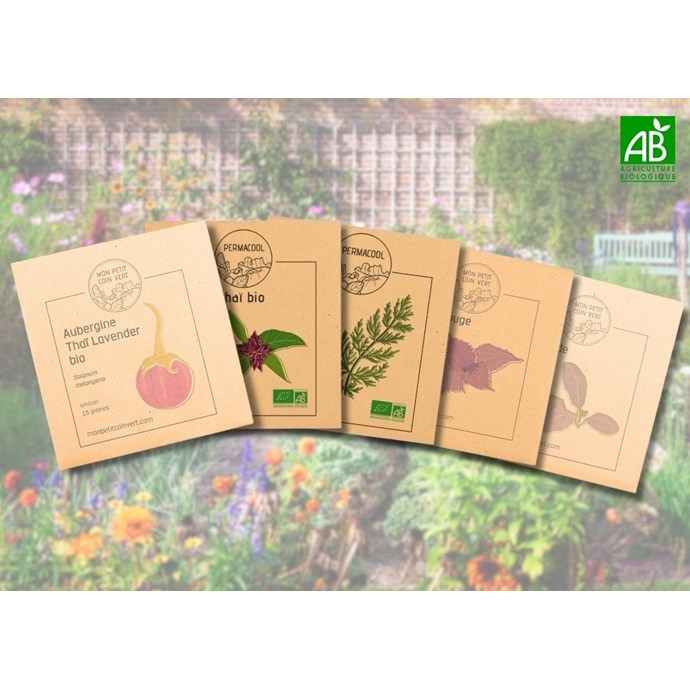 Lot de graines - saveurs asiatiques à prix réduit