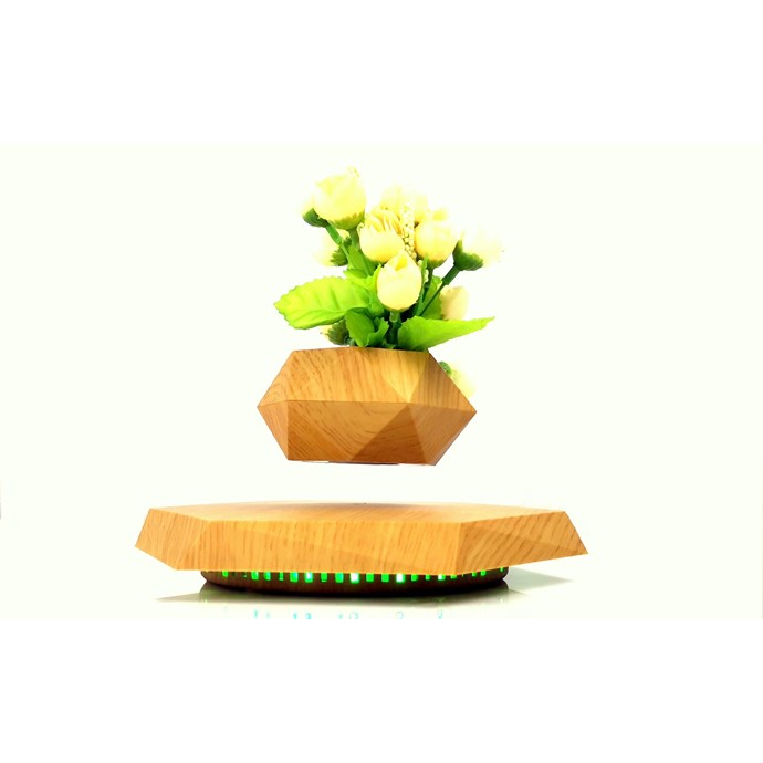 Babylonia - mini-jardin en lévitation | Nature & Découvertes