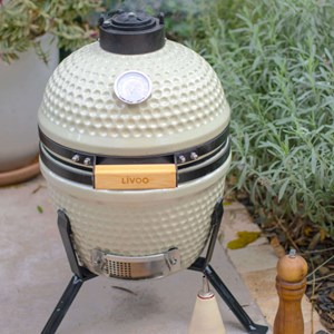 Barbecue fumoir céramique kamado champag