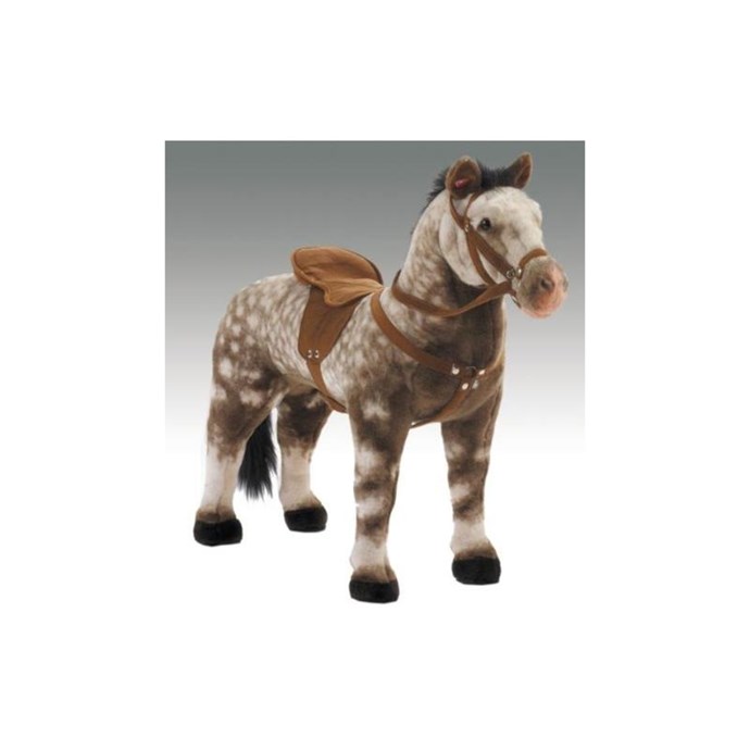 Cheval debout - robe gris pommelé - avec