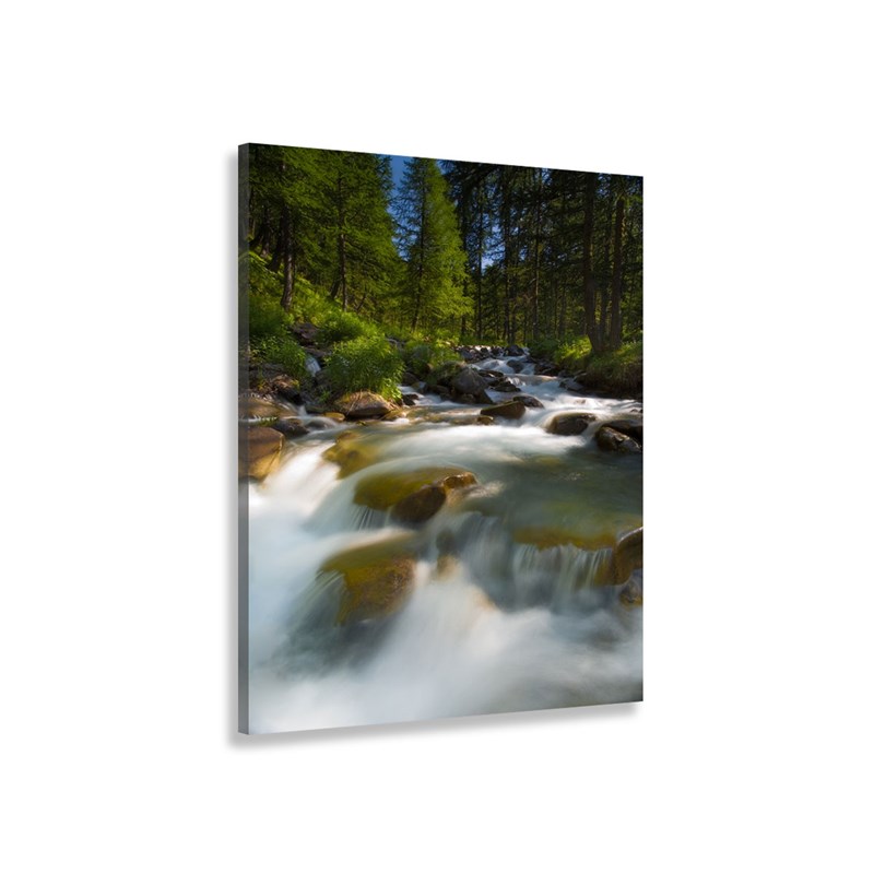 Tableau des natures - Nature & Découvertes