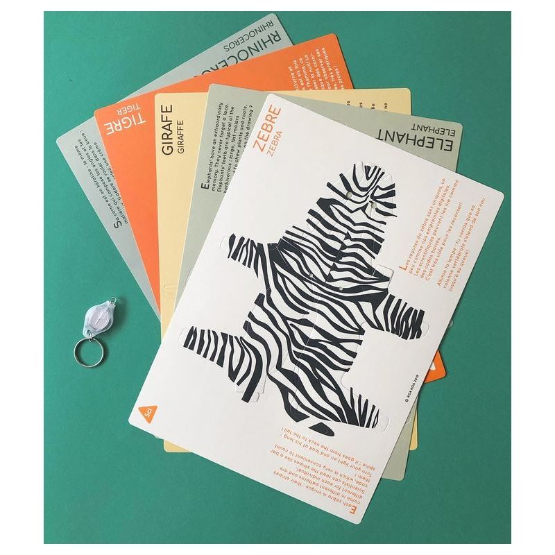 Animaux au rayon x | Nature & Découvertes