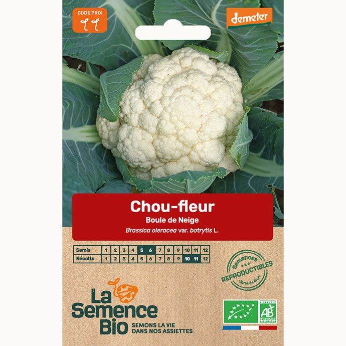 Chou-fleur boule de neige - graines bio | Nature & Découvertes