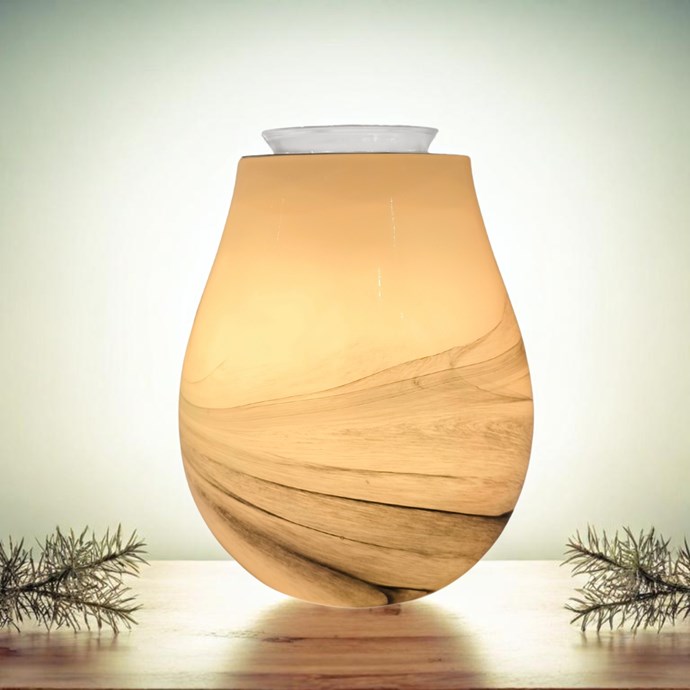 Diffuseur par chaleur douce calorya n°11