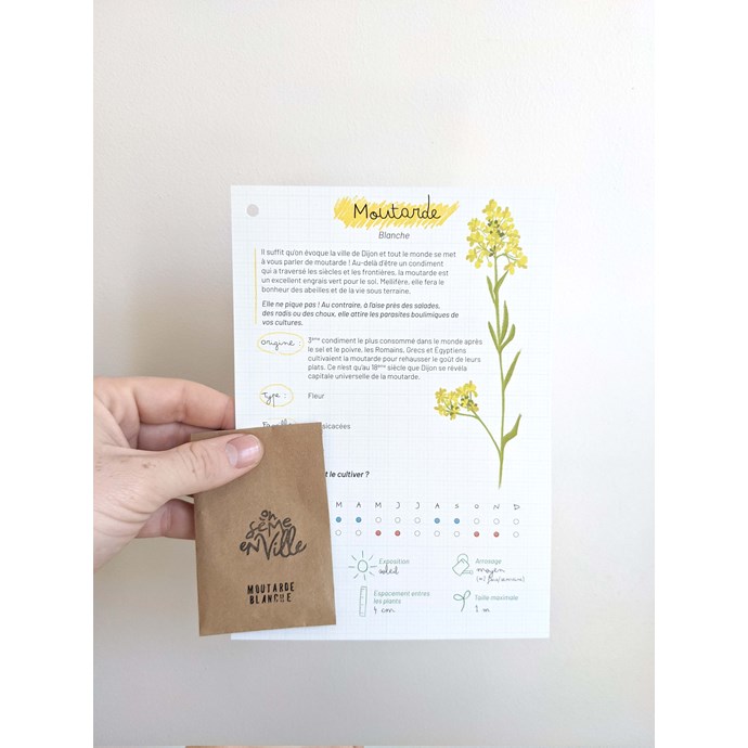 Sachet de graines - moutarde blanche | Nature & Découvertes