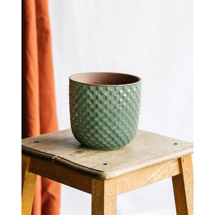 Cache pot - relief vert | Nature & Découvertes