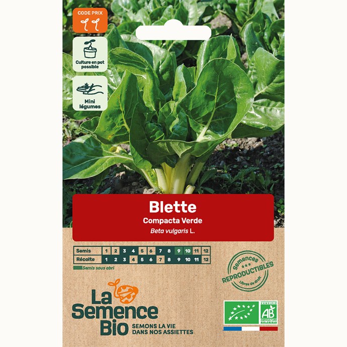 Blette compacta verde - graines bio