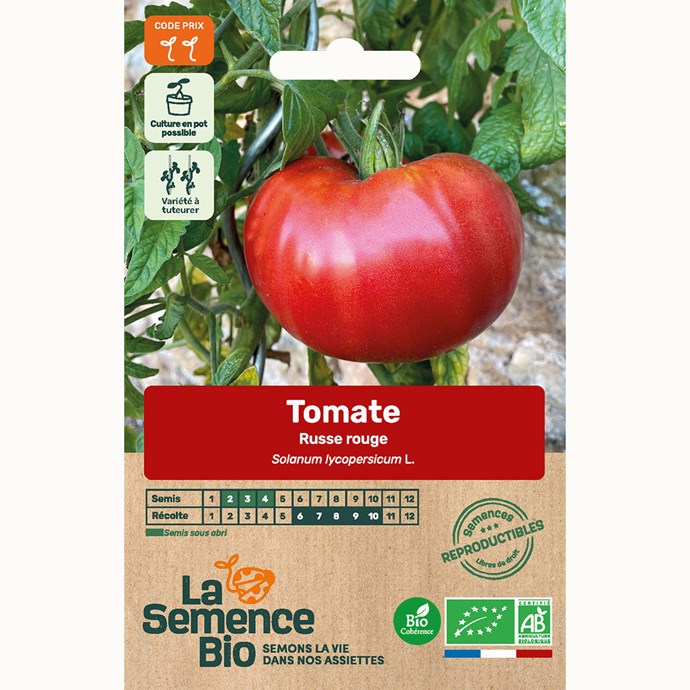 Tomate russe rouge bio | Nature & Découvertes