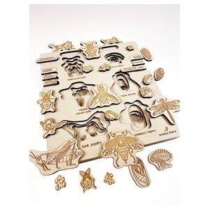 Puzzle le cycle de vie des insectes | Nature & Découvertes