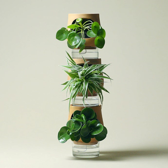 Trois grands pots autonomes empilables