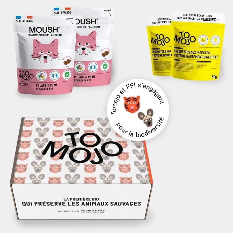 Moush coffret chat decouverte | Nature & Découvertes