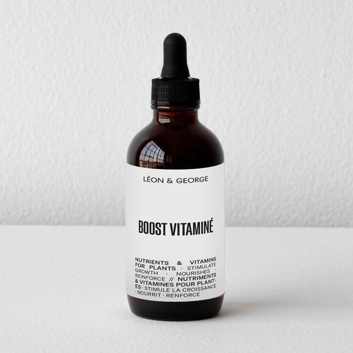 Boost vitaminé | Nature & Découvertes