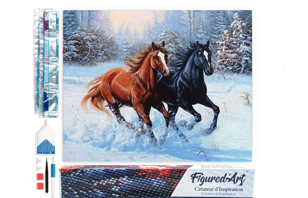 Diamond painting deux chevaux en hiver | Nature & Découvertes